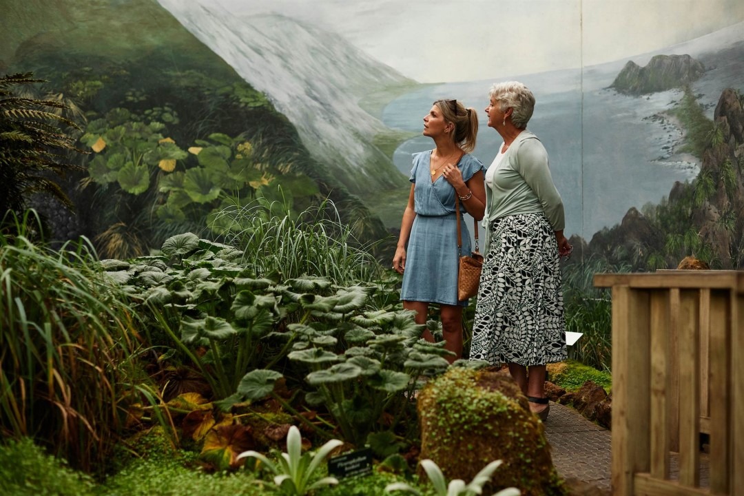 Winter Wonders: Your Inside Guide To 5 Unique Things to Do in Hobart ...