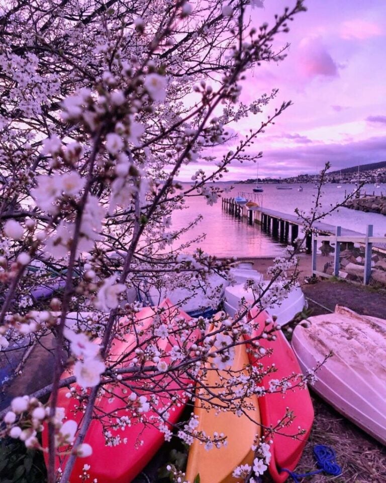 Inside Hobart’s Guide to the Best Picnic Spots This Spring - Inside ...